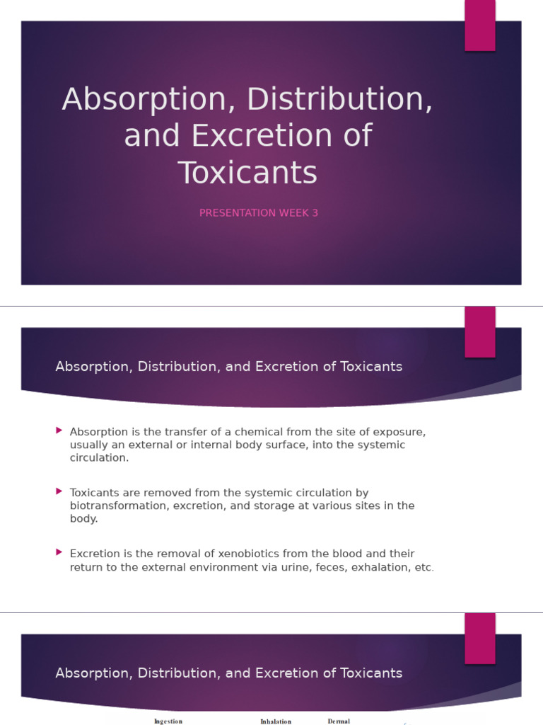 Toxicant Absorption and Distribution Dynamics | PDF | Cell Membrane | Skin