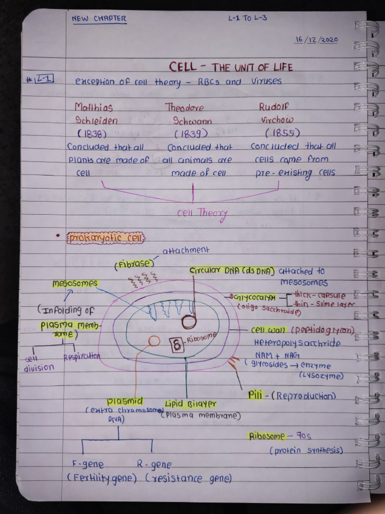 Chapter 8 Cell The Unit of Life Class 11 Biology Notes | PDF