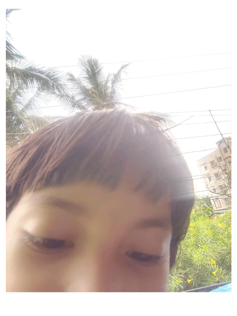 PDFGallery 20250607 075439 | PDF