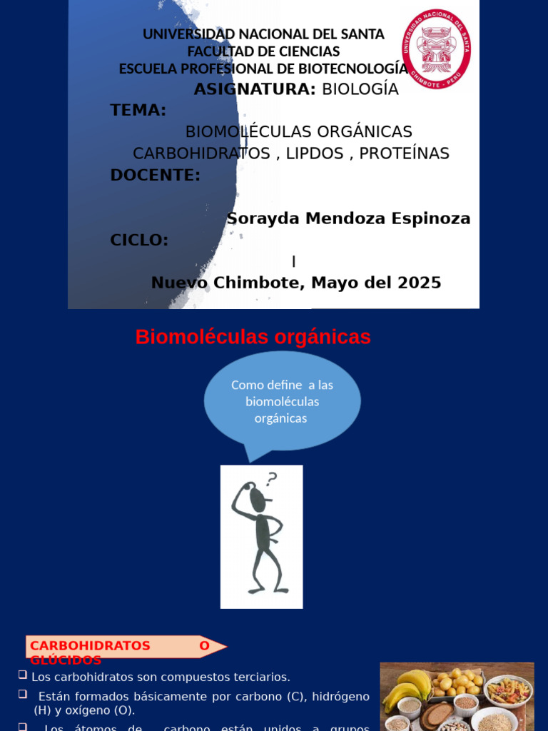 Sem05 - Biomoléculas | PDF | Carbohidratos | Polisacárido