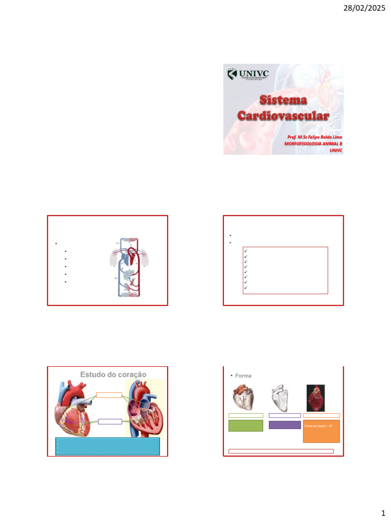 PDF - Aula 4 - Sistema Cardiocirculatório - Morfofisiologia B - Univc 2025 | PDF | Sistema ...