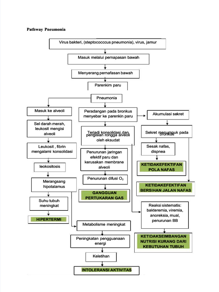 PDF Pathway Pneumonia 1 Compress | PDF