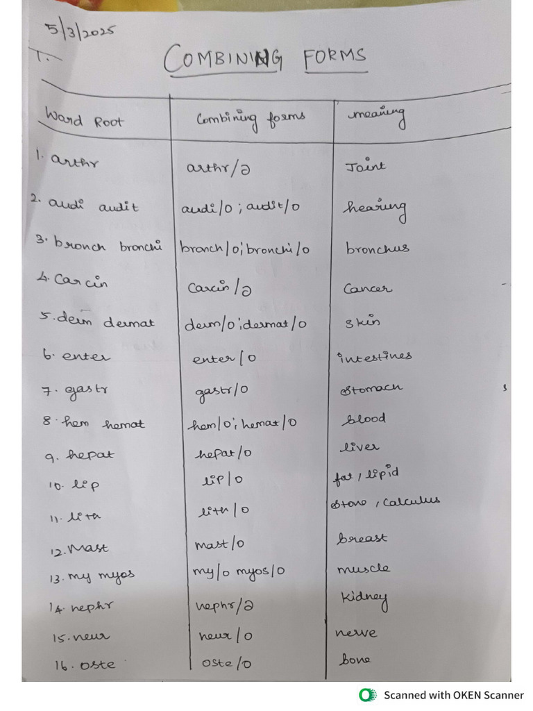Assignment For Medical Terms | PDF