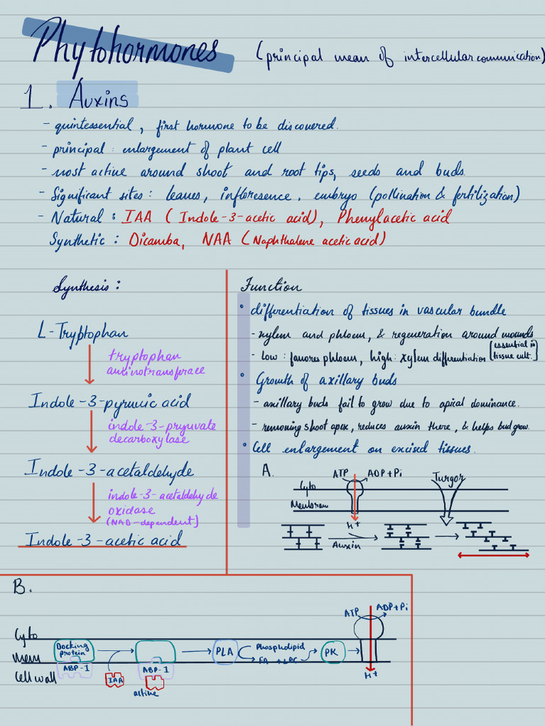 Plant Module 2 - Sam - 250102 - 040848 | PDF