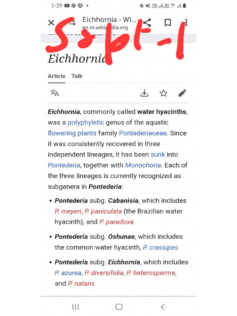 Batch 1 - Spotting | PDF