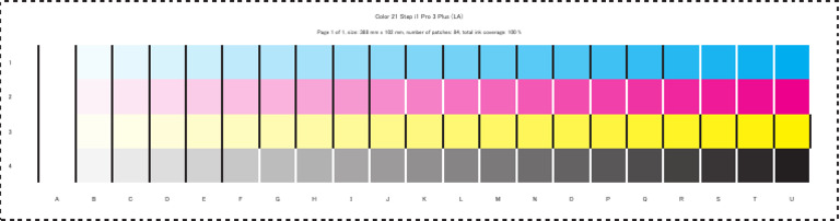 Color 21 Step I1 Pro 3 Plus | PDF