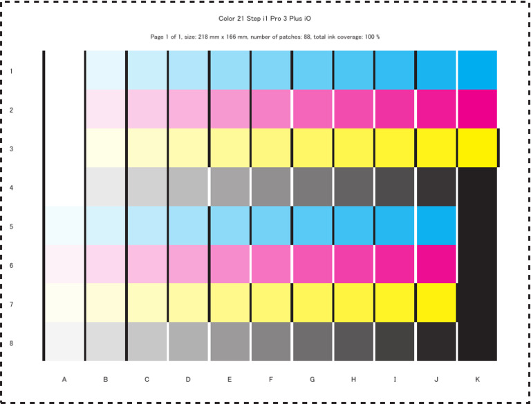 Color 21 Step I1 Pro 3 Plus IO | PDF