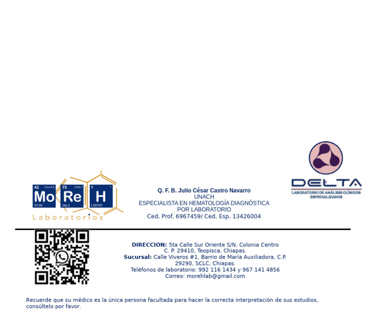 Sobre Moreh 2021 San Cristobal | PDF