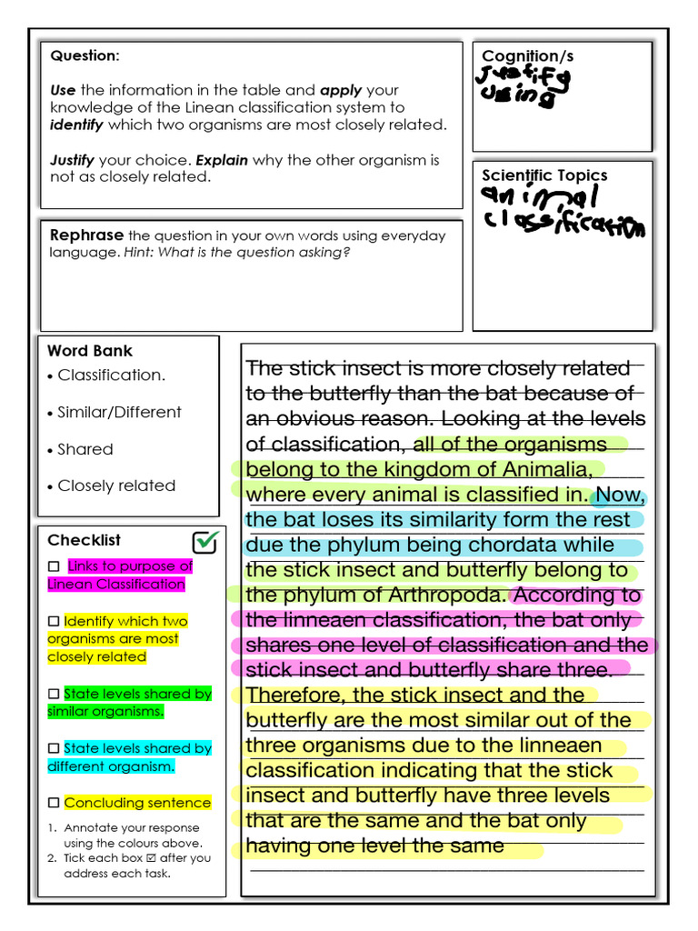 Levels of Classification Template | PDF | Cognition | Cognitive Science