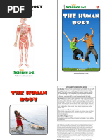 Overview of Human Body Systems | PDF | Lymphatic System | Heart Valve