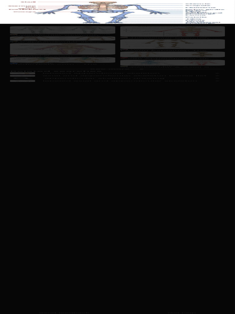 Appendicular Skeleton - Google Search | PDF