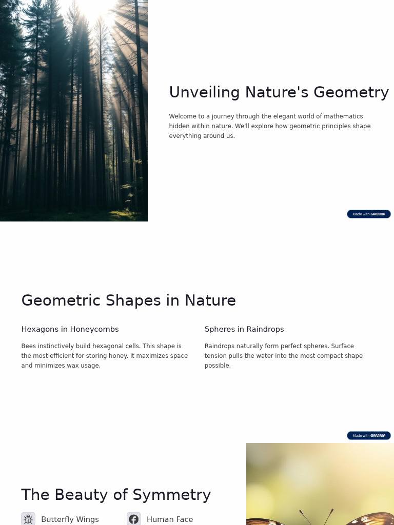 Unveiling Natures Geometry | PDF | Leaf | Pattern