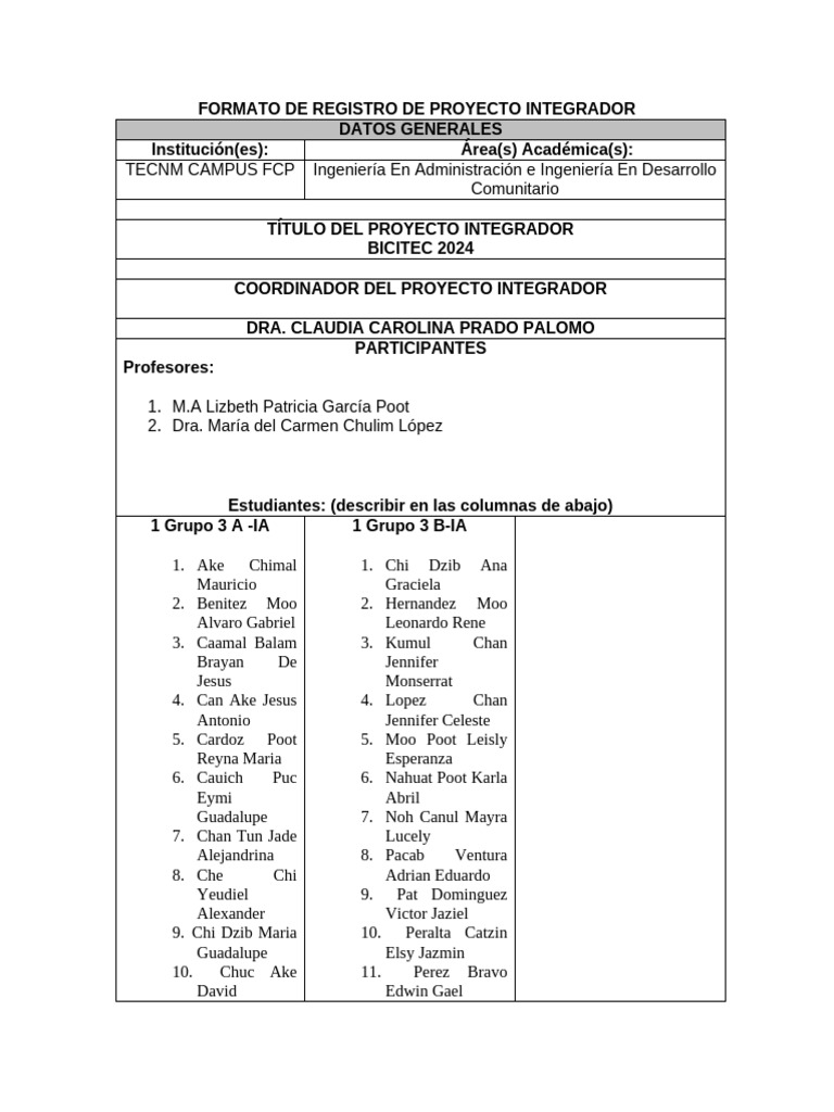 Proyecto Integrador 2024 | PDF | Transporte | Business