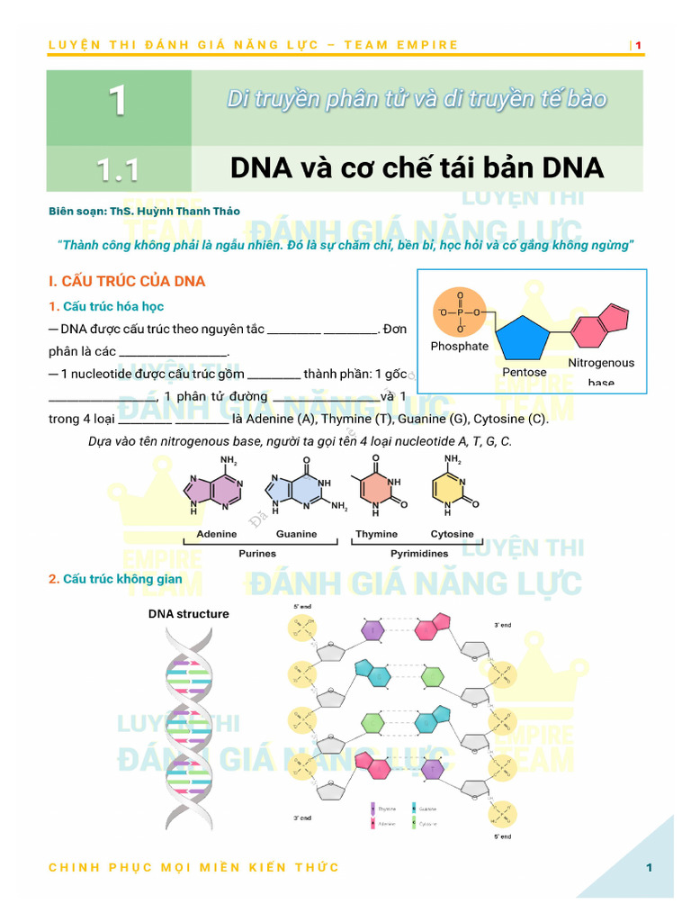 1a Dna Và Cơ Chế Tái Bản Dna PDF | PDF
