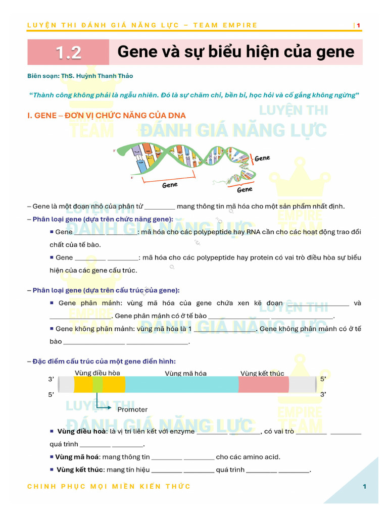2a Gene Và Sự Biểu Hiện Của Gene PDF | PDF