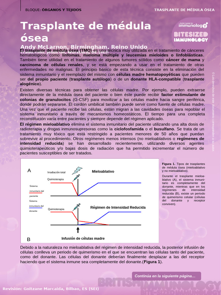 Stem Cell Transplantation (Trasplante de Médula Ósea) | PDF ...