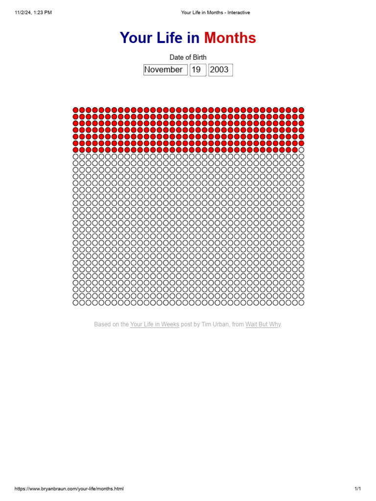 Your Life in Months - Interactive | PDF