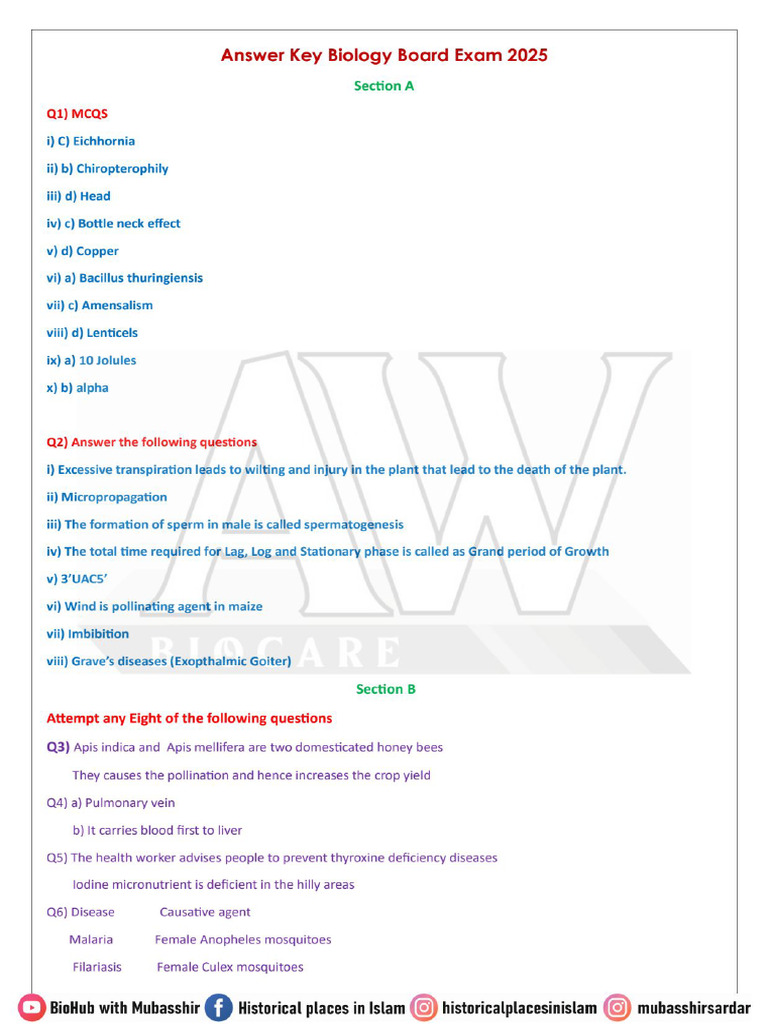 Answer Key 2025 | PDF
