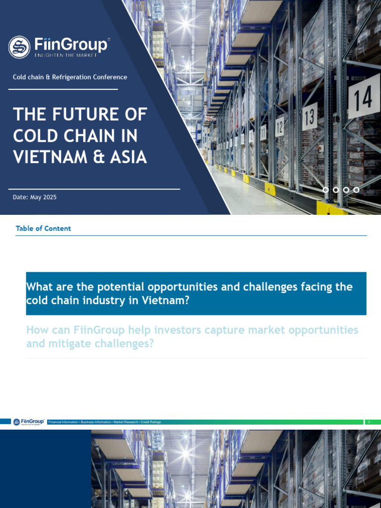 Vietnam Cold Chain Market Insights 2024 | PDF | Efficient Energy Use ...