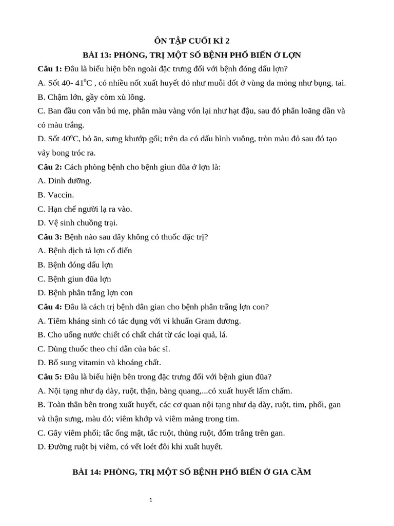 De Cuong Cuoi Ki 2 Cn 11_2425 Hs | PDF