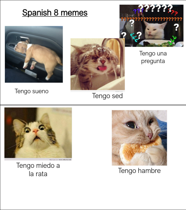 Meme Project Spanish 8 | PDF