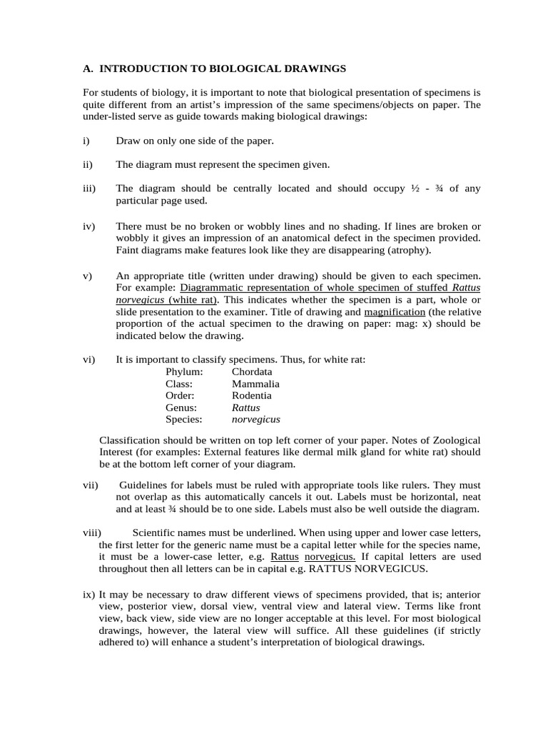 Introduction To Biological Drawings | PDF | Anatomical Terms Of ...