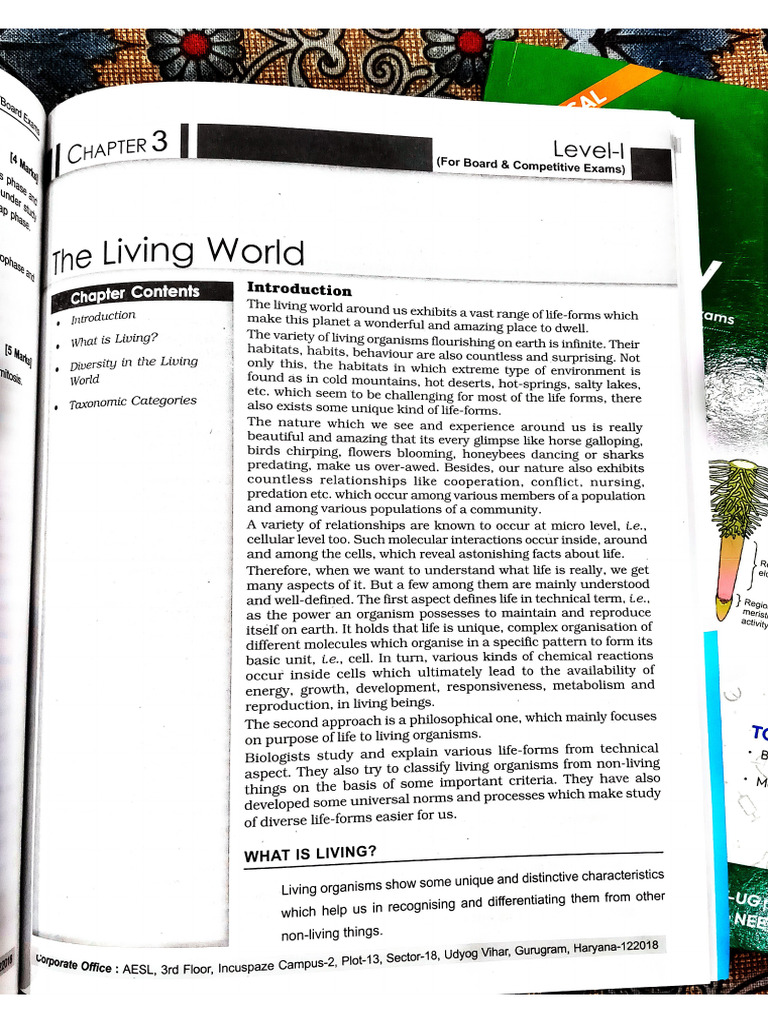 Living World | PDF