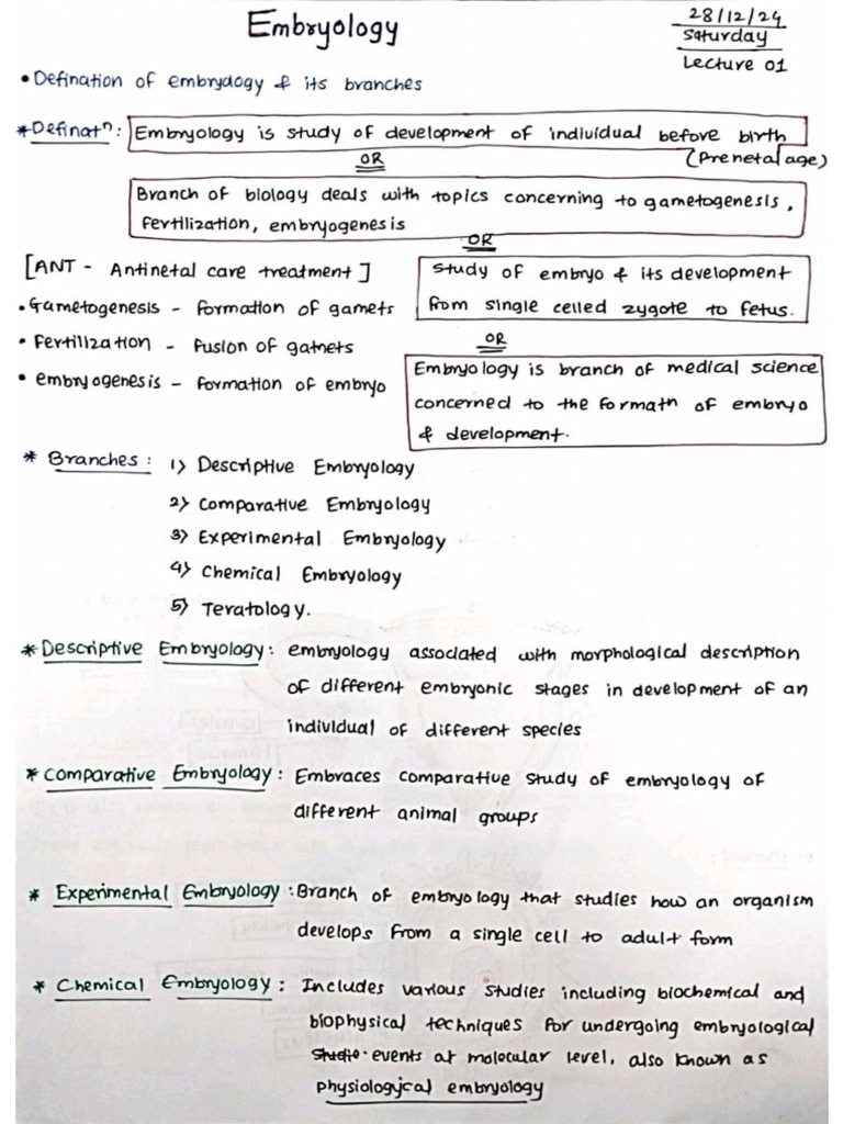 Embryology Notes | PDF