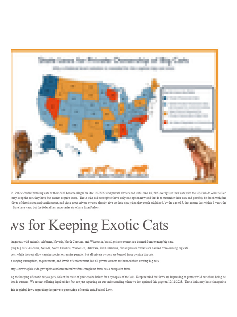 State Laws Exotic Cats - Big Cat Rescue - Wild Cats in The Wild - Our Mission, Their Future ...