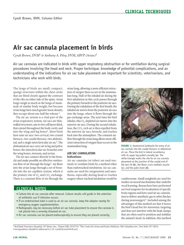 Air Sac Cannulation in Birds | PDF | Lung | Respiratory System