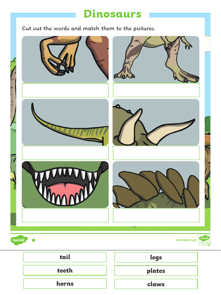 Dinosaurs Differentiated Reading | PDF | Dinosaurs | Zoology