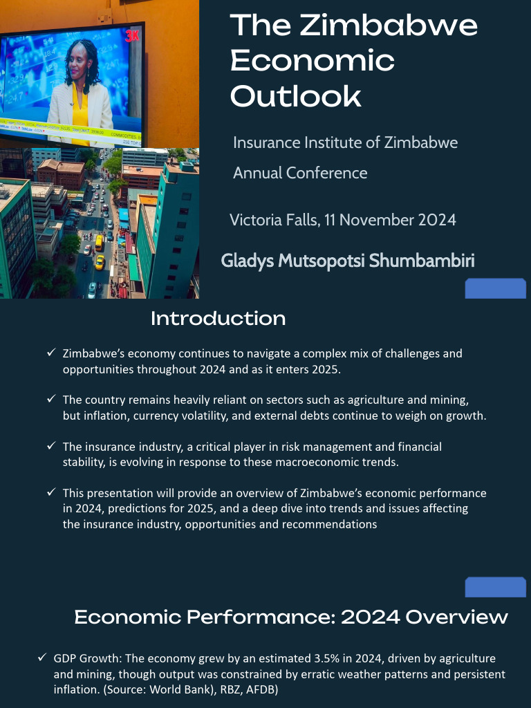 The Zimbabwe Economic Outlook IIZ PRESENTATION ELEPHANT HILLS VIC ...