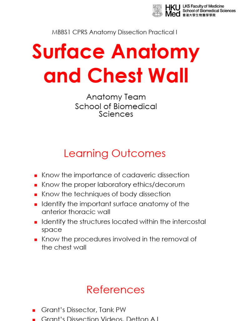 Chest Wall Anatomy Dissection Guide | PDF | Thorax | Musculoskeletal System
