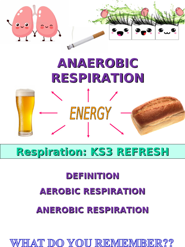 Anaerobic Repiration | PDF | Cellular Respiration | Lactic Acid