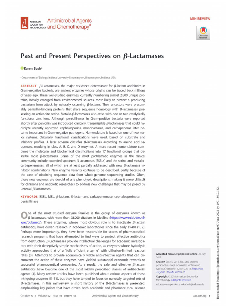 Past and Present Perspectives | PDF