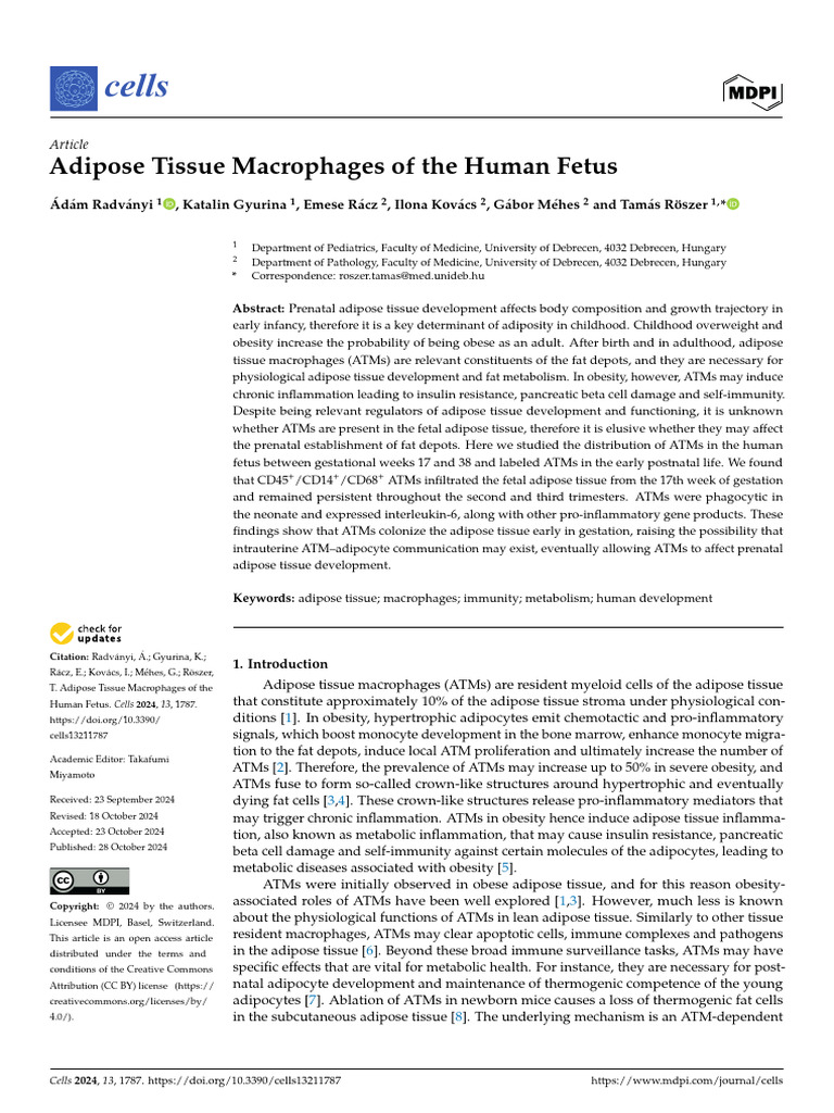 Adipose Tissue Macrophages of The Human Fetus | PDF | Adipose Tissue | Adipocyte