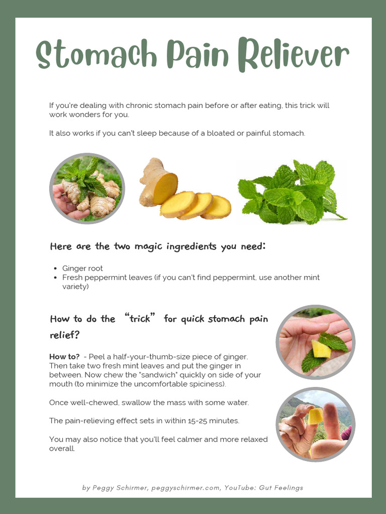Ginger and Mint for Stomach Relief | PDF