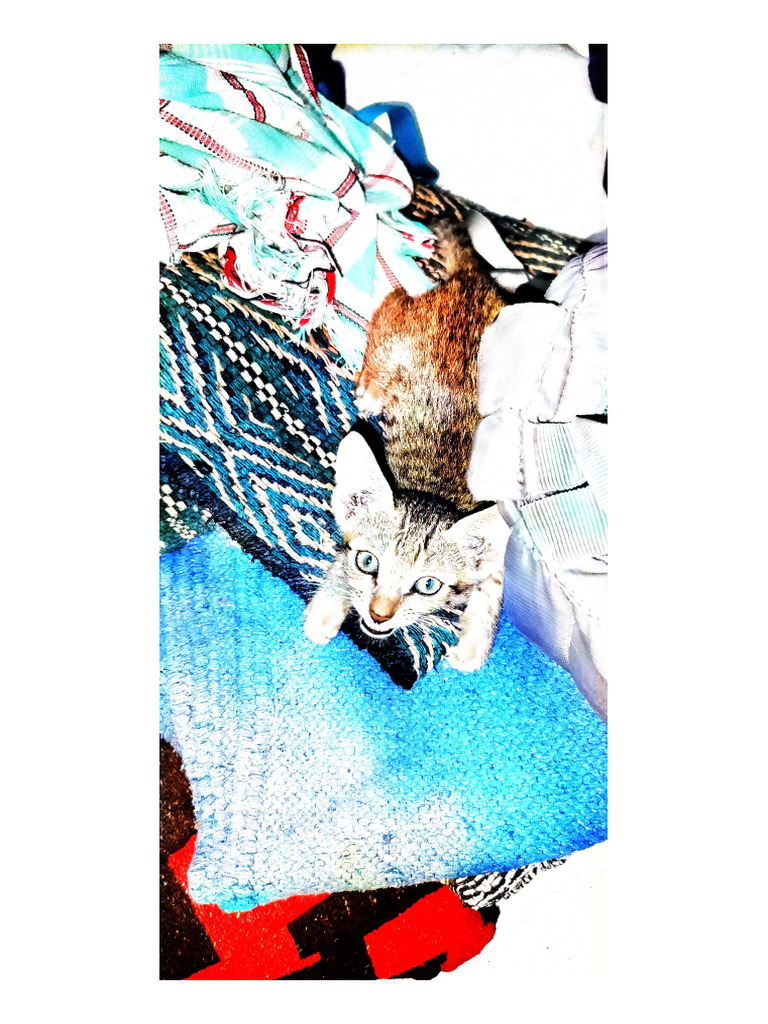 Image To PDF 20250607 14.26.55 | PDF