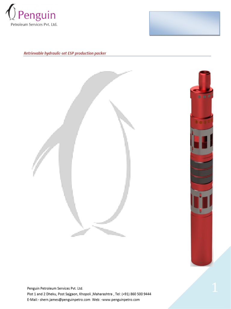 ESP Packer Brochure-1 | PDF | Mechanical Engineering