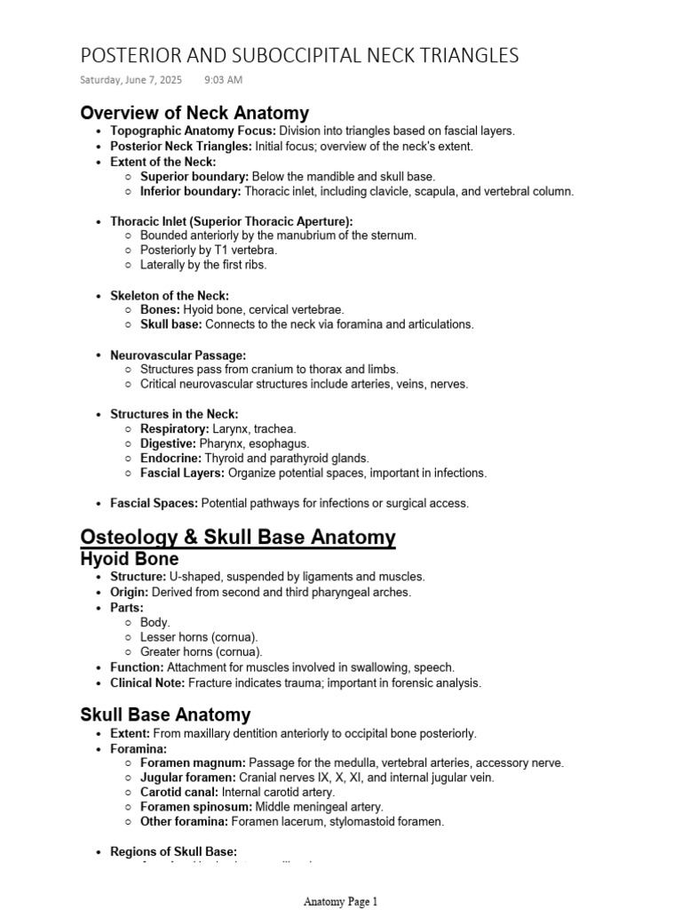 Suboccipital Triangle Anatomy Overview | PDF | Neck | Vertebra