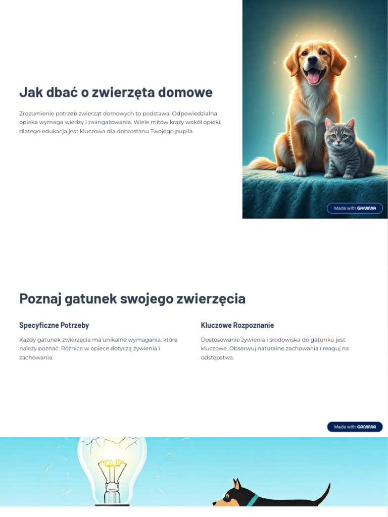 Jak Dbac o Zwierzeta Domowe | PDF