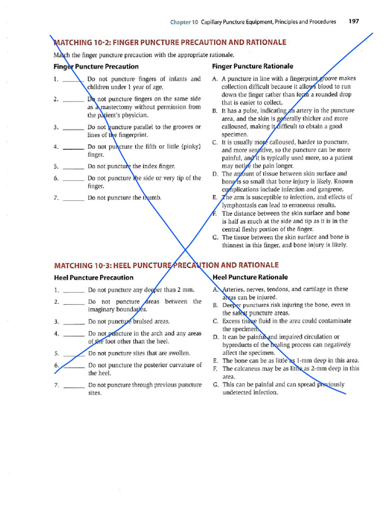Chapter 10 Workbook Homework | PDF