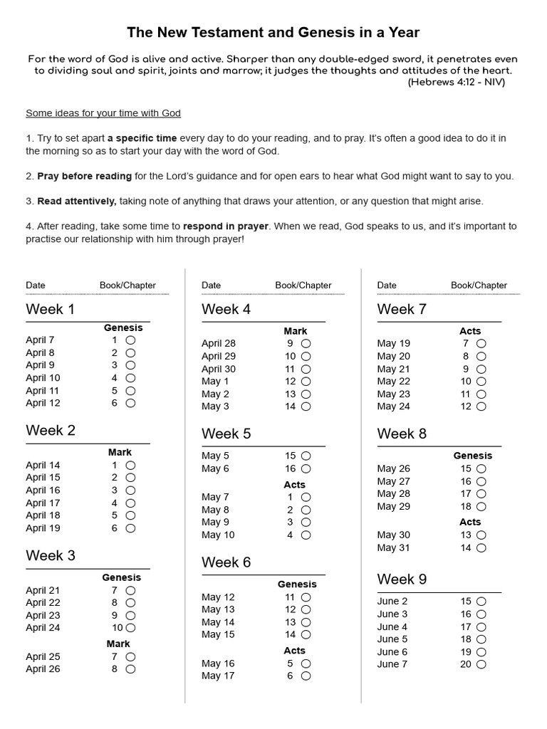 Bible Plan - N.T. and Genesis (English) LARGE | PDF | Bible | Abrahamic ...