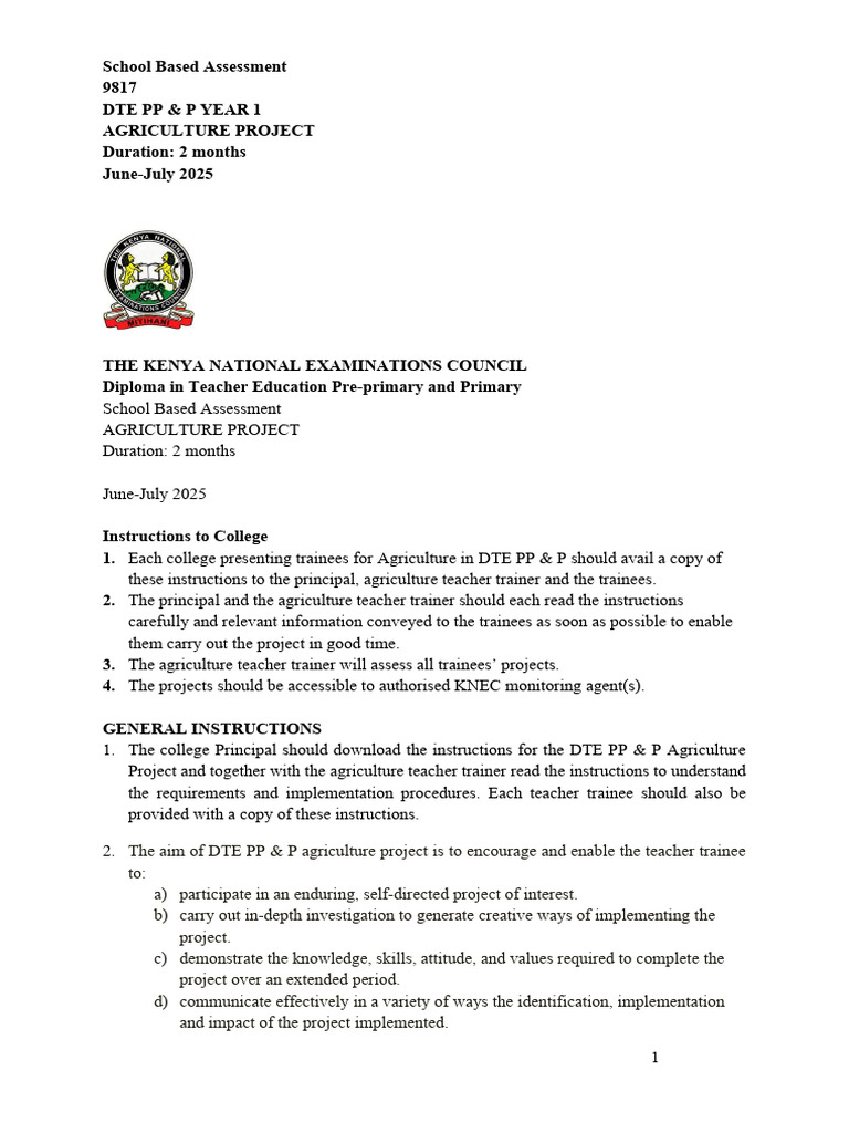 2025 Dte PP - P Year 1 Project Instructions | PDF | Teachers | Learning