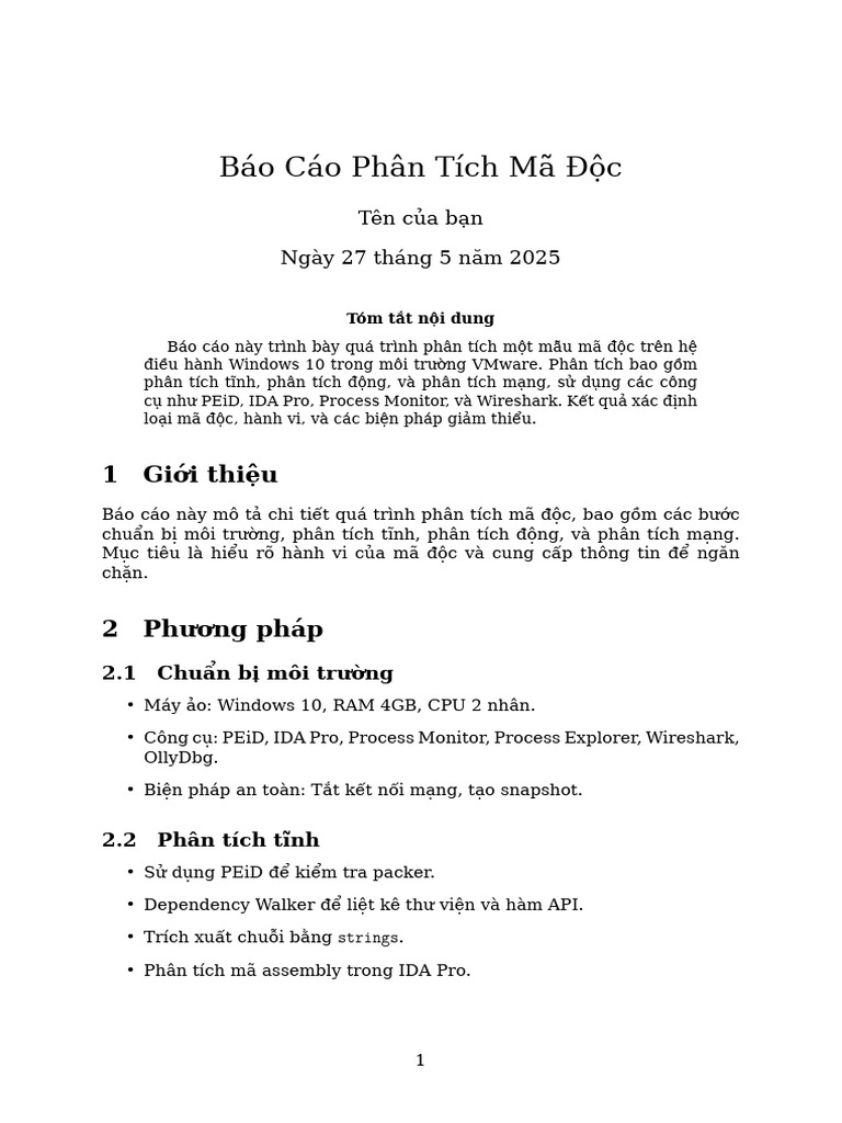 Report Malware | PDF