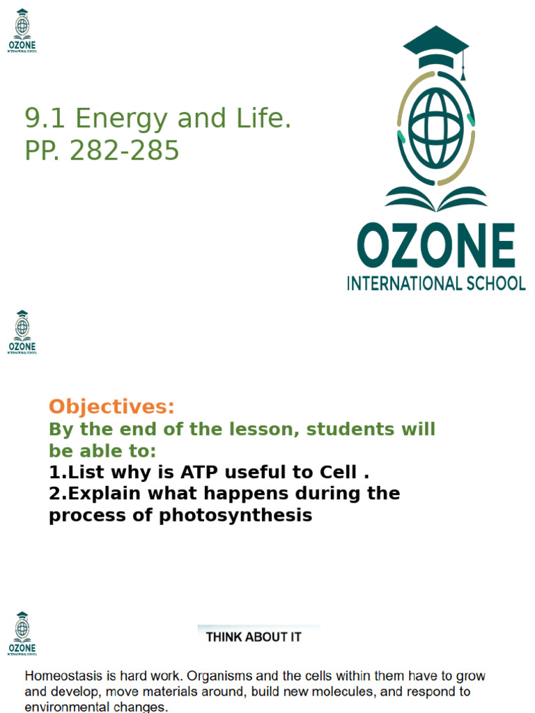 L1.Energy and Life | PDF