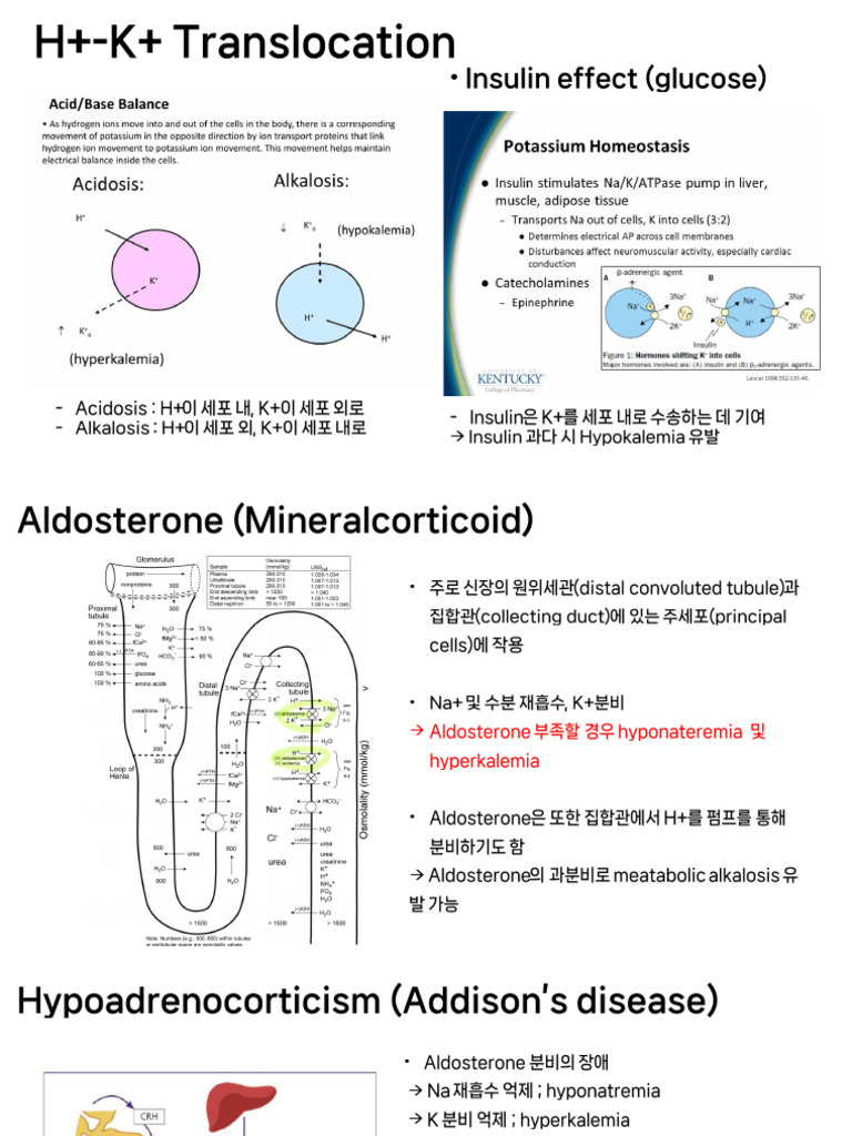 6. Electrolyte | PDF