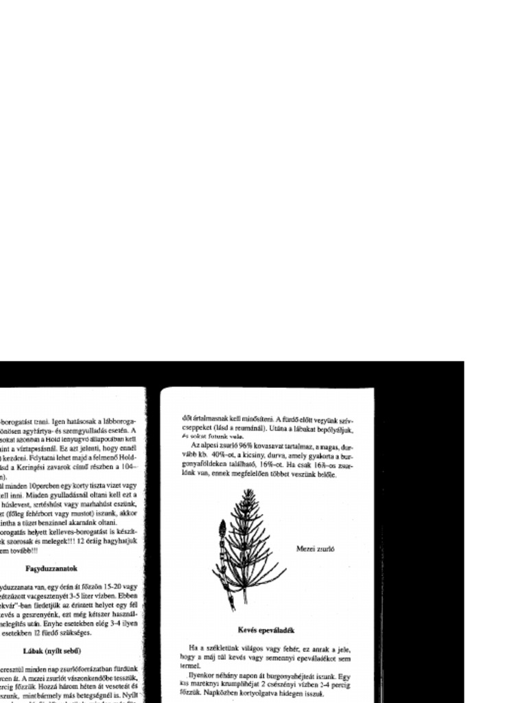 50-56261022905-A-rak-es-leukemia-gyogyitasa-Rudolf-Breuss-pdf | PDF