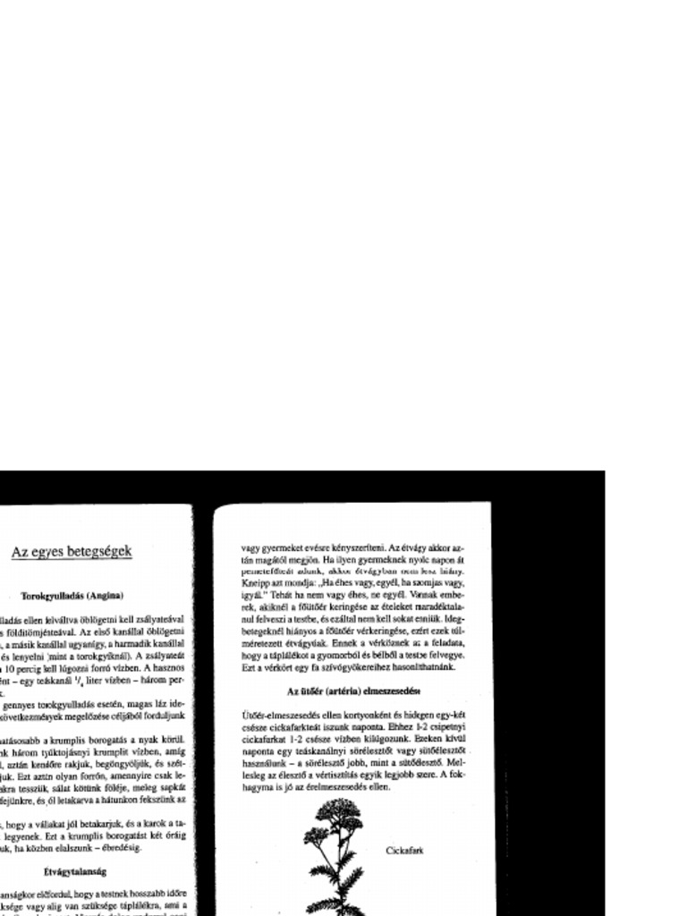 43 49.261022905 A Rak Es Leukemia Gyogyitasa Rudolf Breuss PDF | PDF