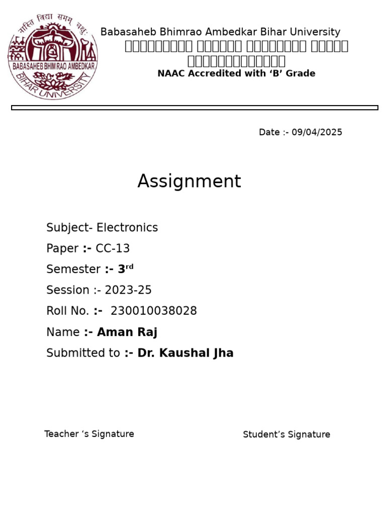 Assignment Format 1 | PDF